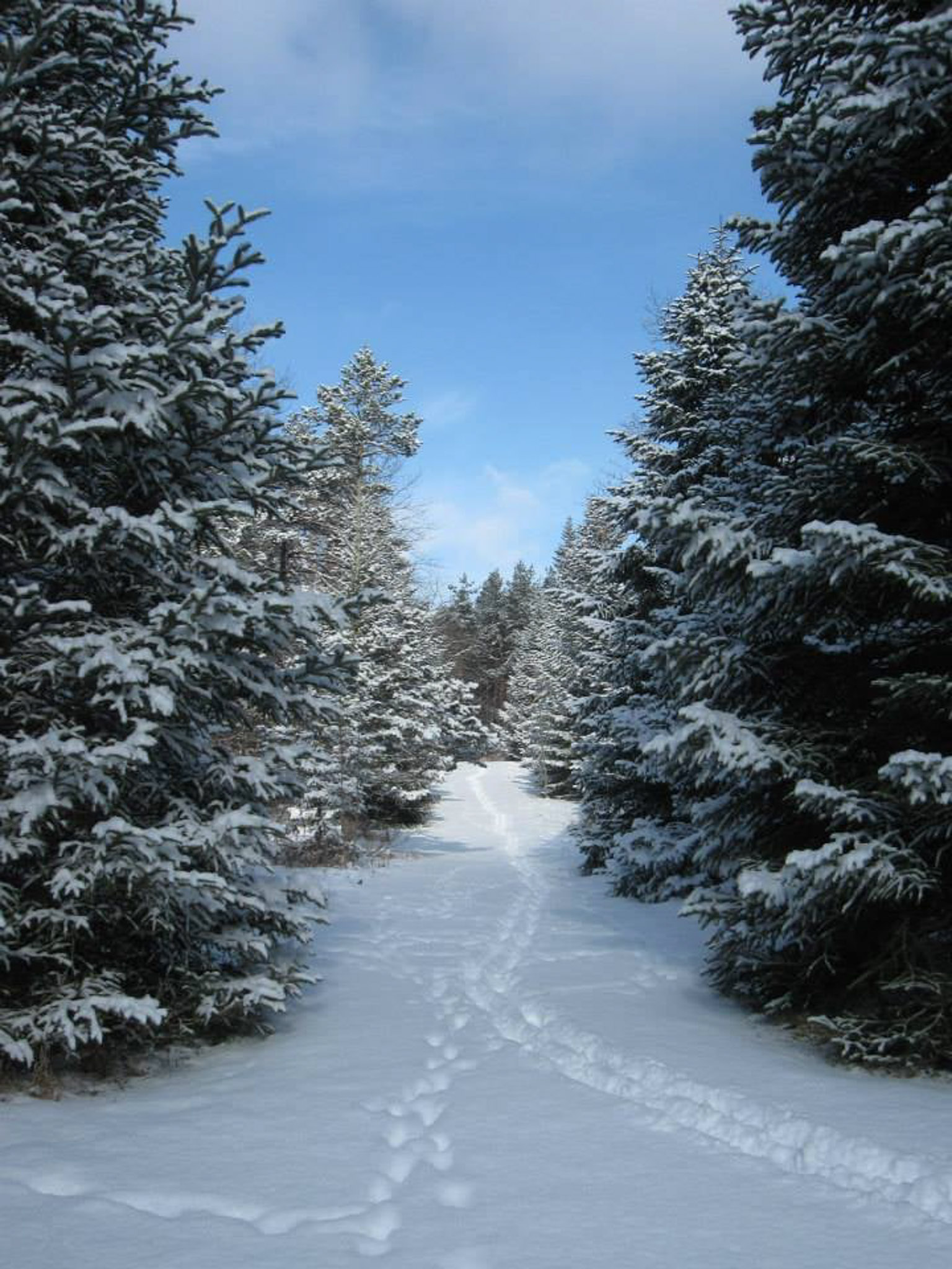 Explore the winter wonderland of Wayne County - Visit Richmond Indiana
