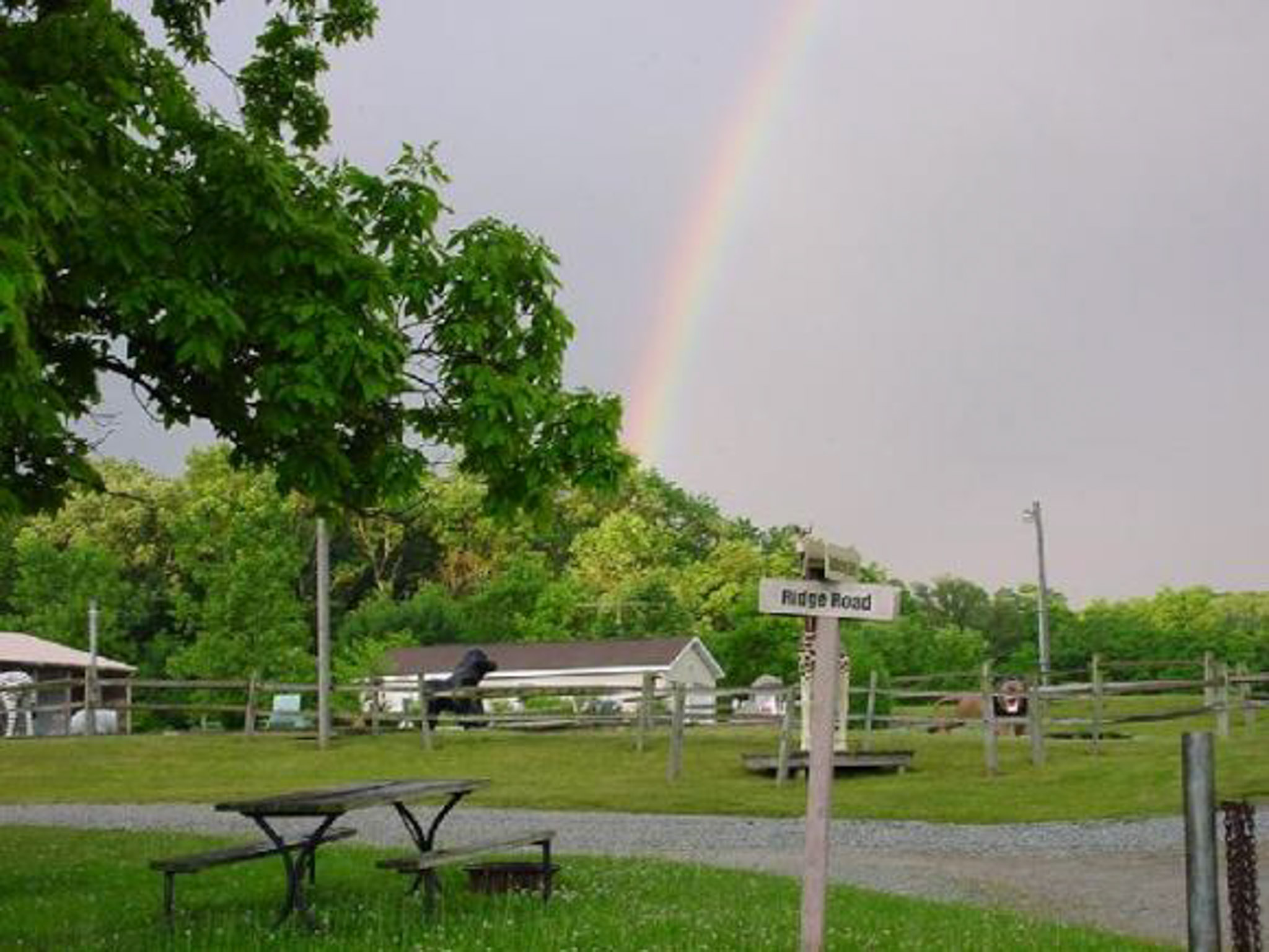 Deer Ridge Camping Resort - Visit Richmond Indiana